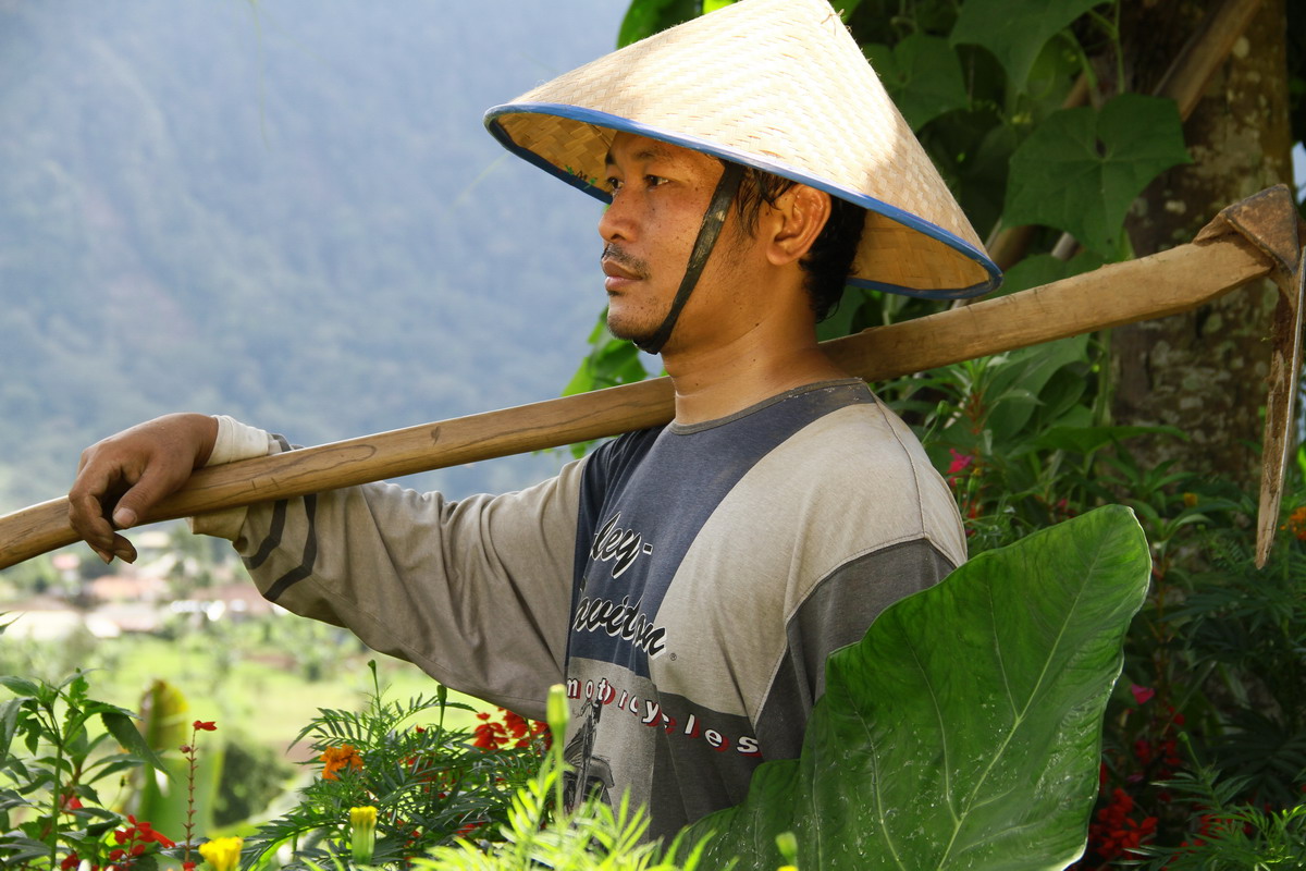 Petani Sayur: Petani Sayur