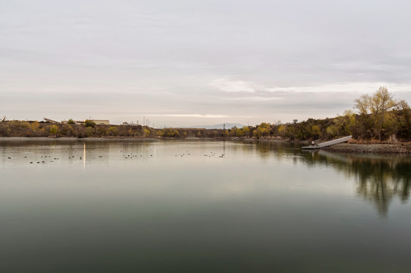 Naturetastic Blog: Shadow Cliffs Regional Park (Part 1) - Pleasanton, CA