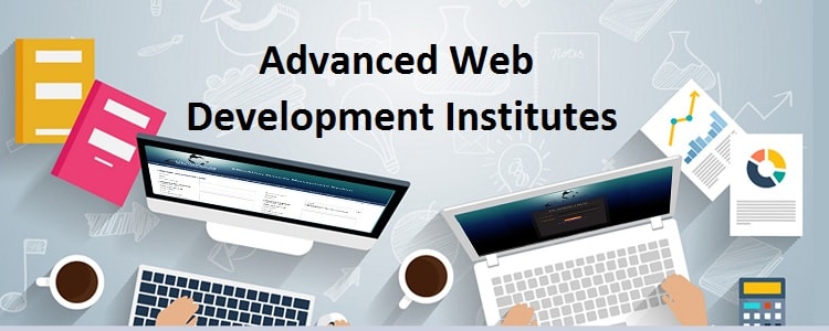 Web Development Institute