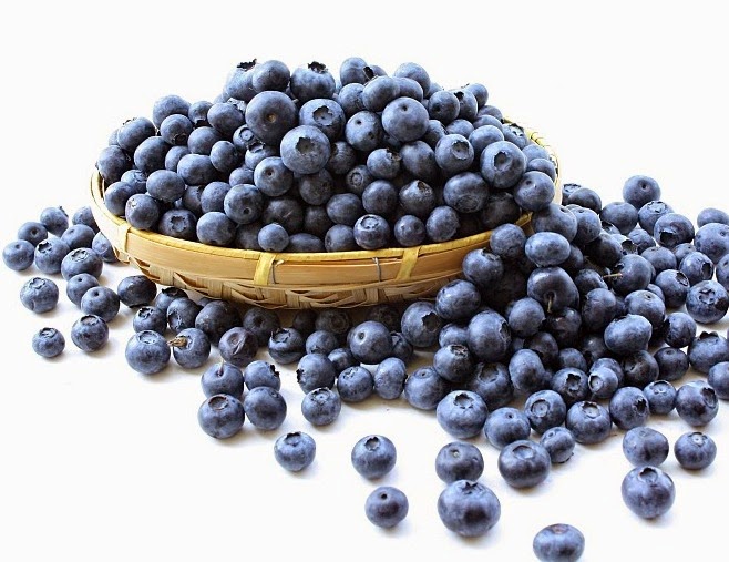 Daleys Fruit Tree Blog: Pollination of Fruit Trees