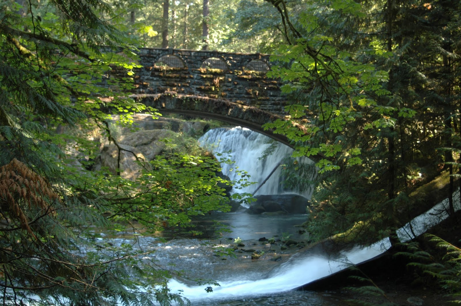 Life On Water: Whatcom Falls Park walk