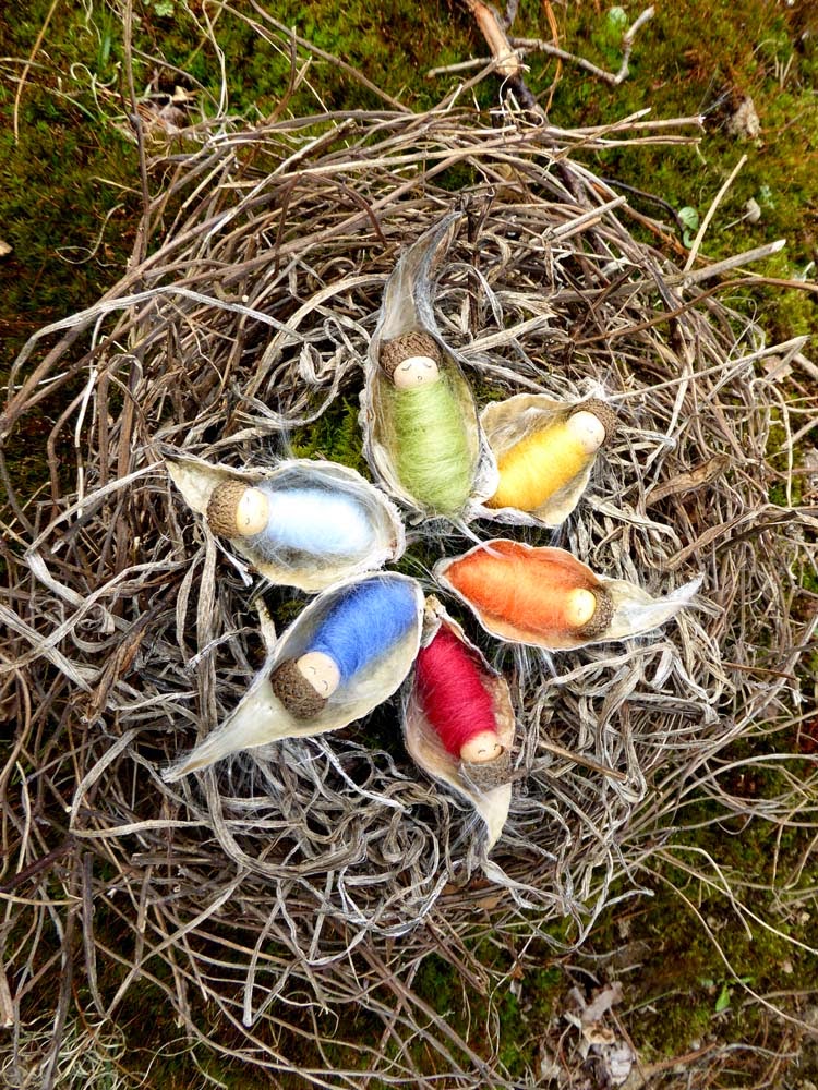 The Enchanted Tree: Milkweed pod babies- Nature crafts revisited