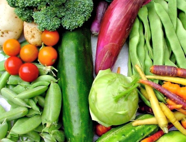 MountainMama: Seed Starting 101