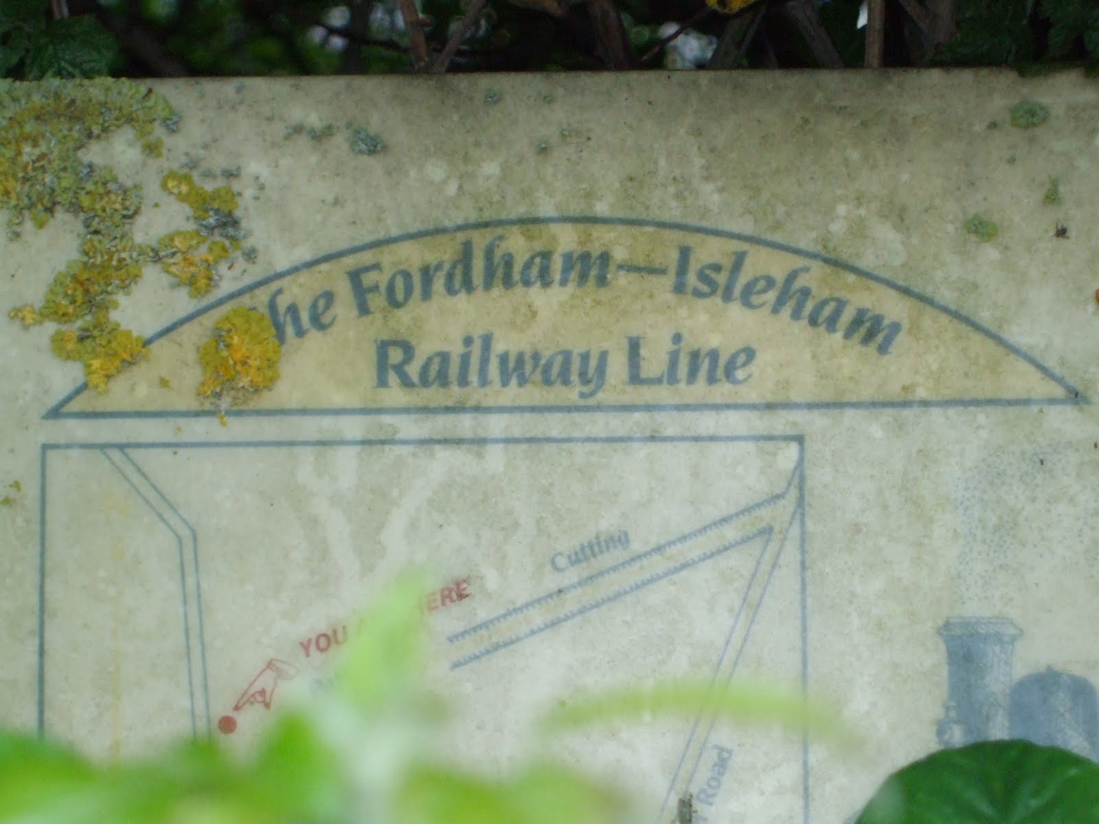 The Friends of Isleham Nature Reserves