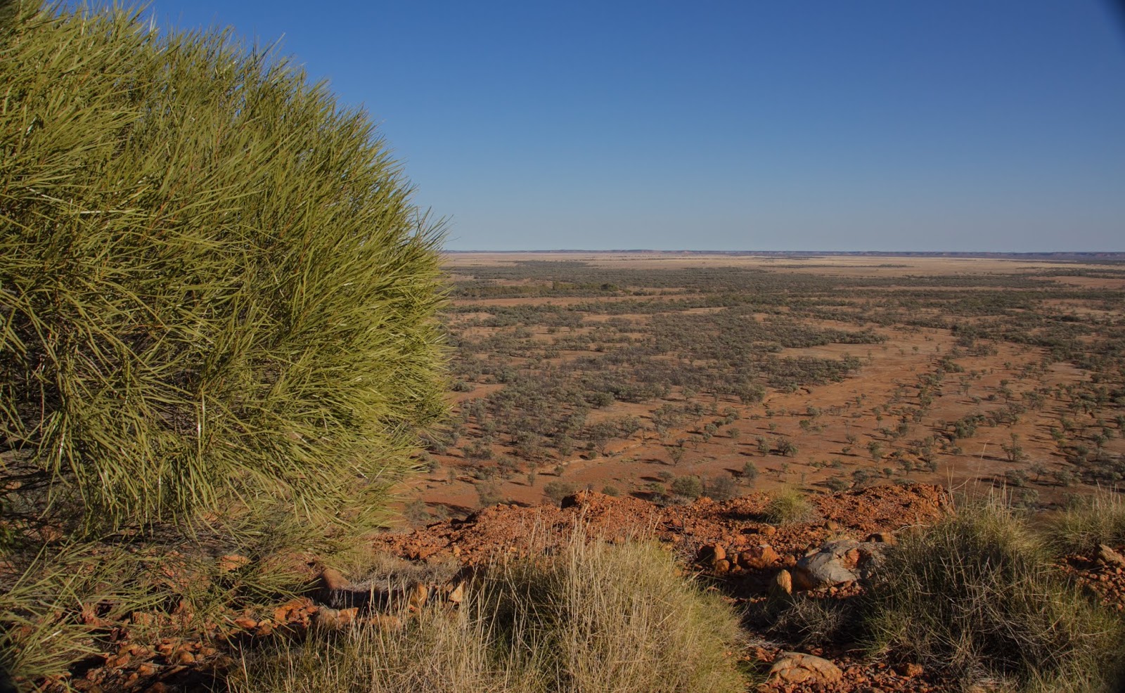 ADVENTURE BEFORE DEMENTIA: DINOSAUR STAMPEDE AT LARK QUARRY