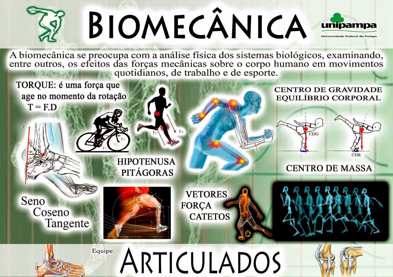 Portfólio de Biomecânica: OLIMPÍADAS DE BIOMECÂNICA - EQUIPE ARTICULADOS