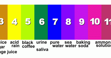 Morris Classical Academy: pH Scale