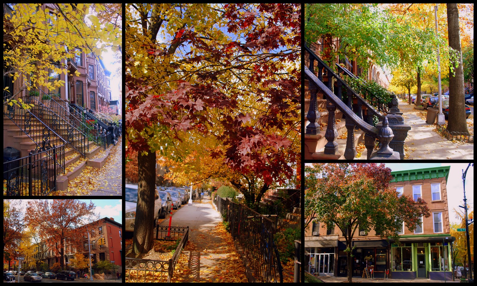 Mille Fiori Favoriti: Autumn In Park Slope, Brooklyn