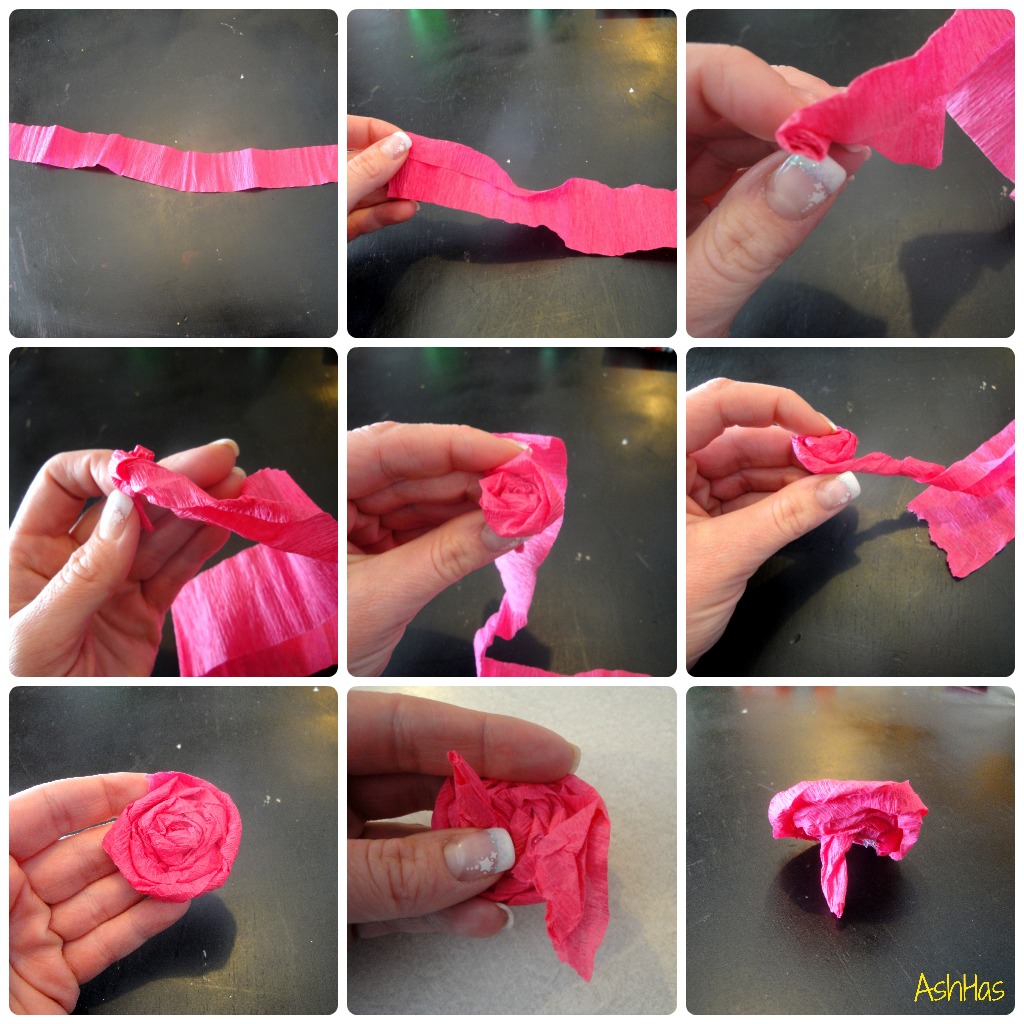 Ash Has: How to make Rosettes