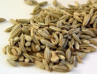 Khasiat Tanaman Adas Bagi kesehatan - www.portaldaring.com