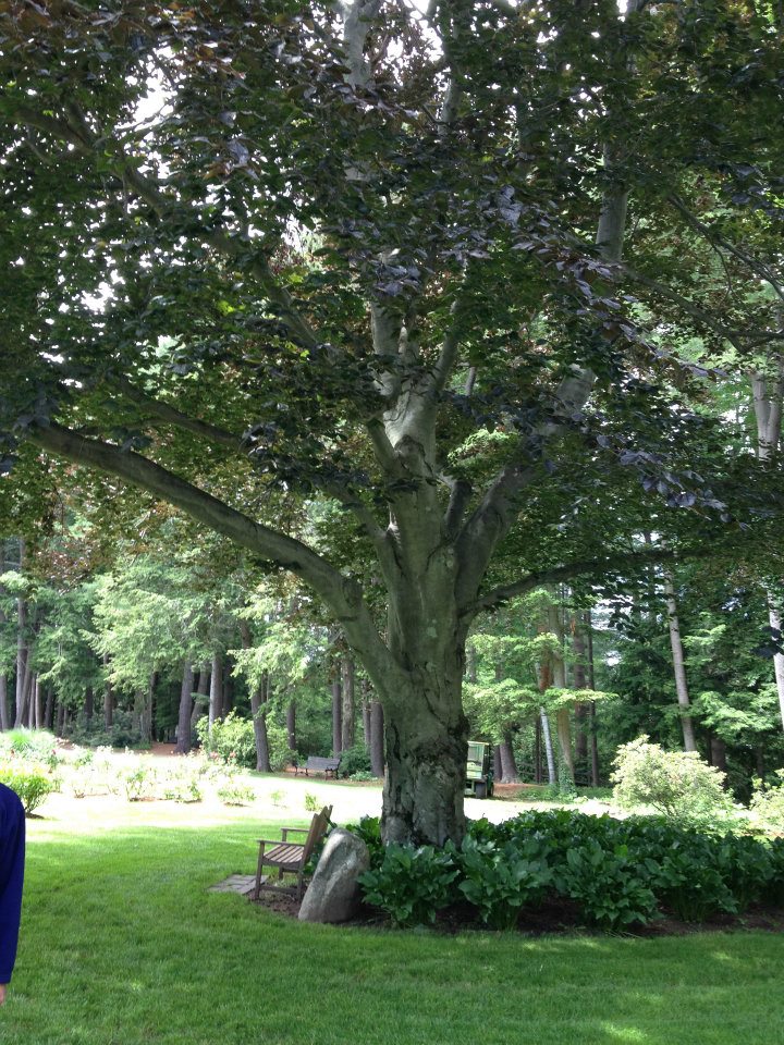 Cape Cod Vacation June 2012 Paul, Sally, Heather