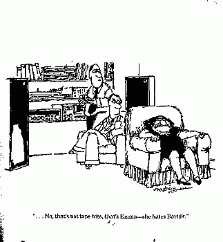 Rochester High End Audio: Rodriguez cartoons