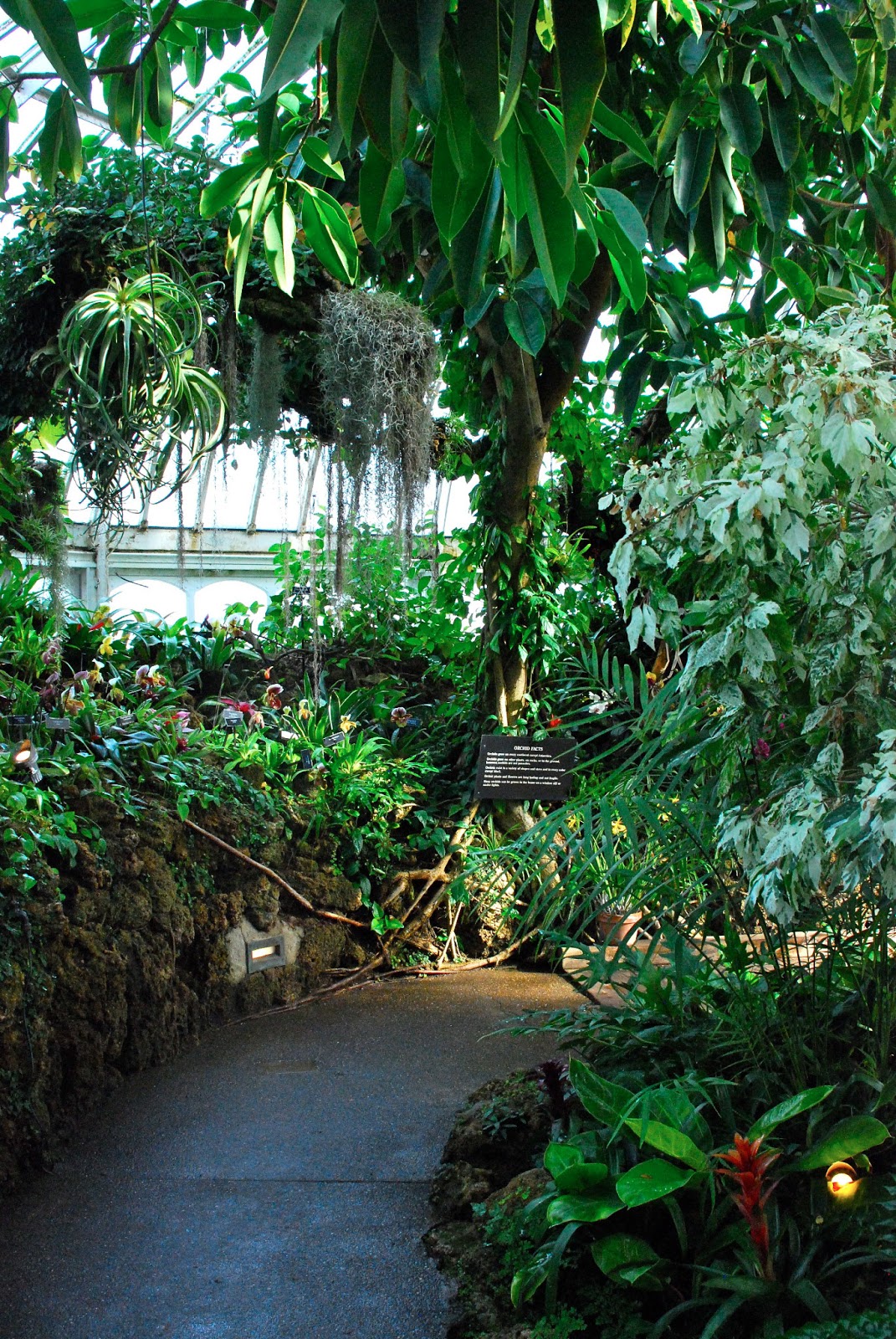 Wife, Mother, Gardener: The Tropical Nature of Phipps Conservatory ...