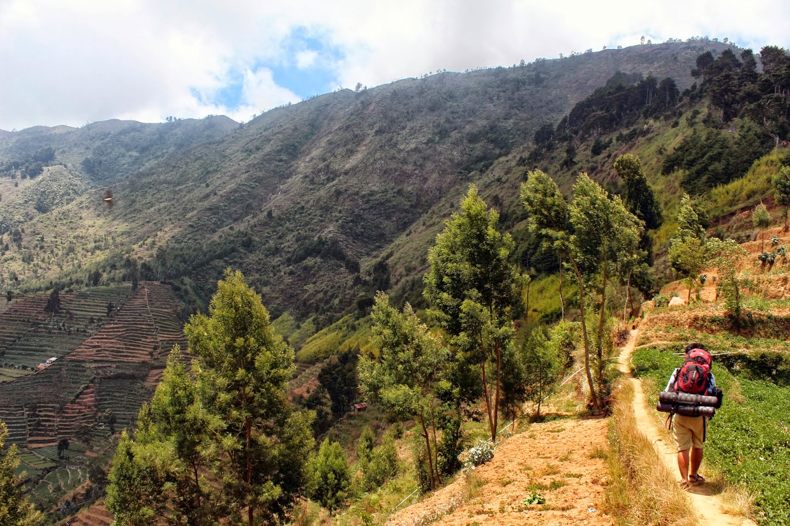 Adventure-Jogja: Keindahan bukit Teletubbies dan taman bunga Daisy yang ...