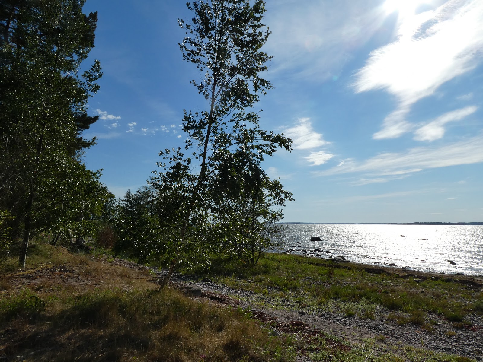 Sivusilmällä: Melkki – saari, joka pelastui
