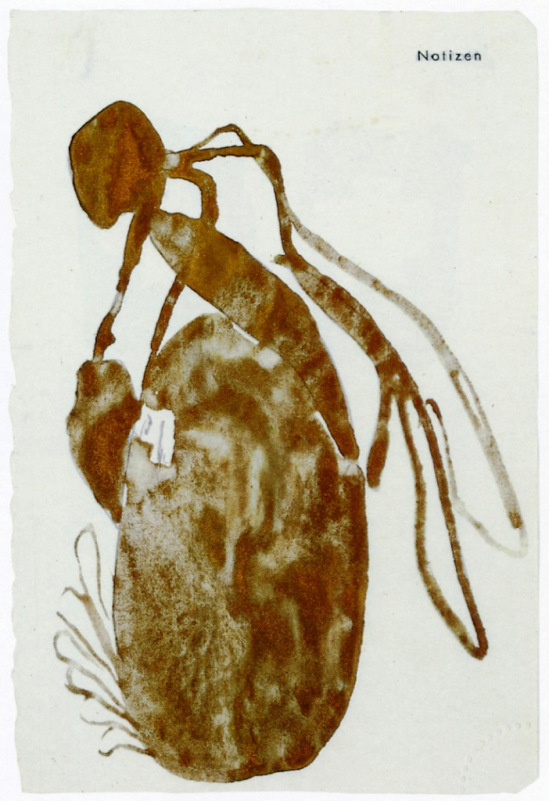 203-RODIN/ BEUYS, SCULPTURES | genevieveblons