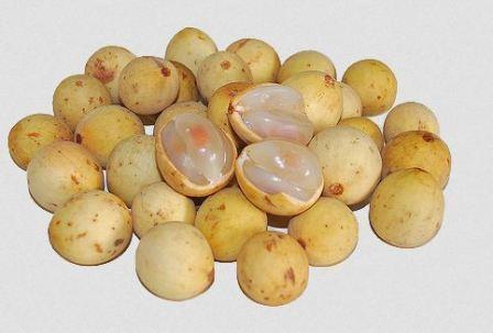 Manfaat Buah Kokosan untuk Kesehatan - Kumpulan Artikel Kesehatan