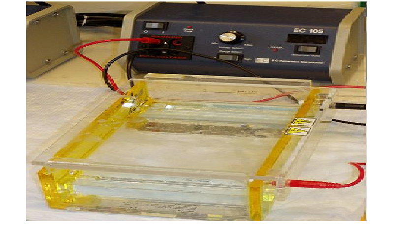 ELEKTROFORESIS − Rakyat Biologi