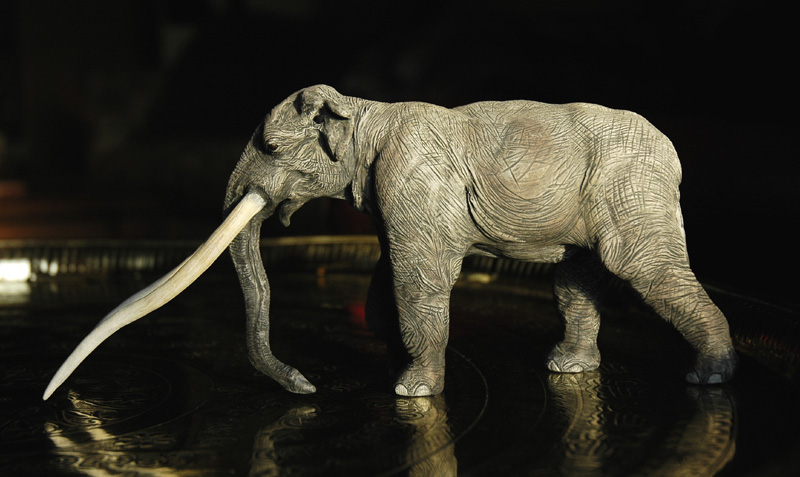 Harriet Knibbs Sculptures: Anancus