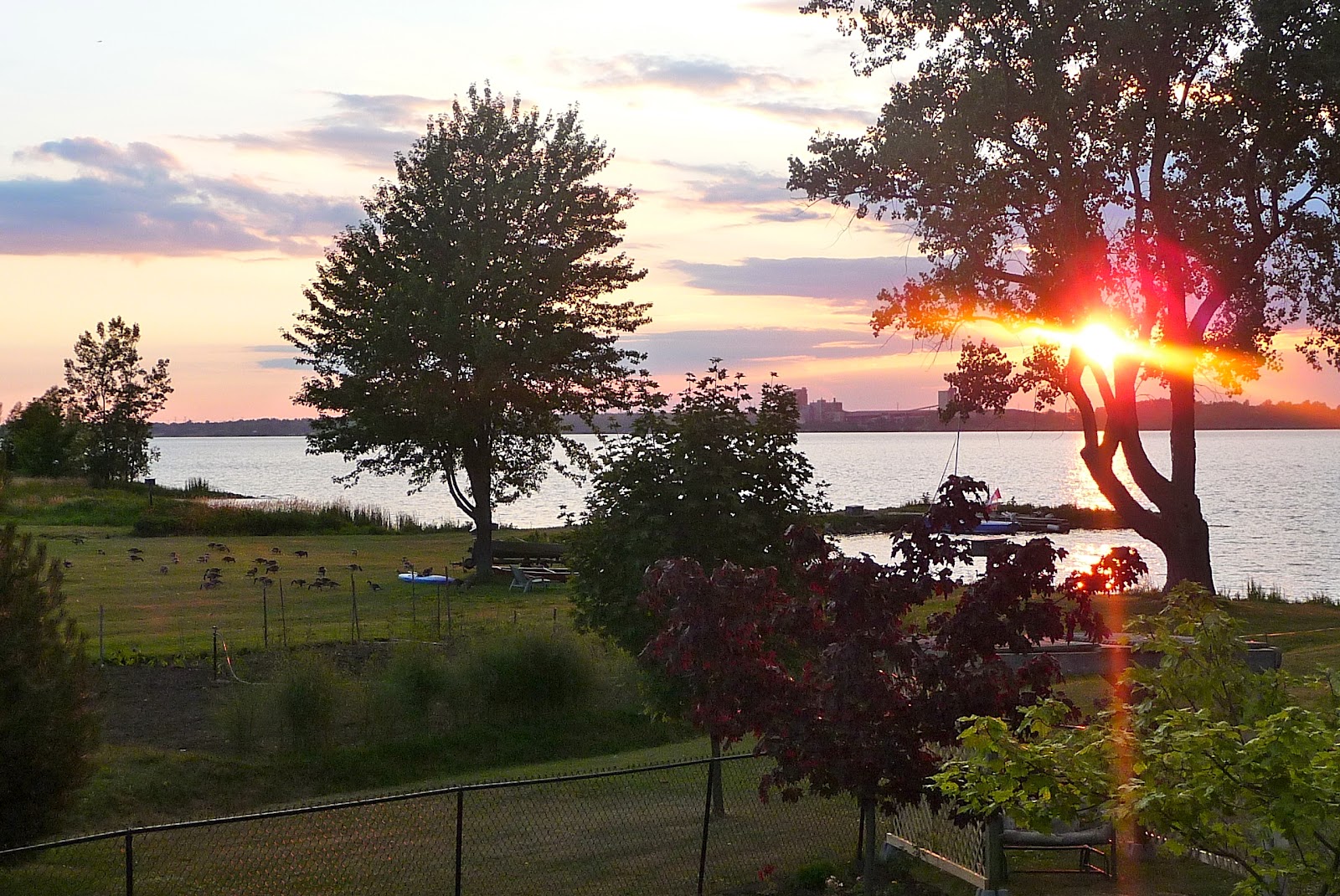 Linda's Rambling and Other Things: AMHERST ISLAND 2012 SCENERY