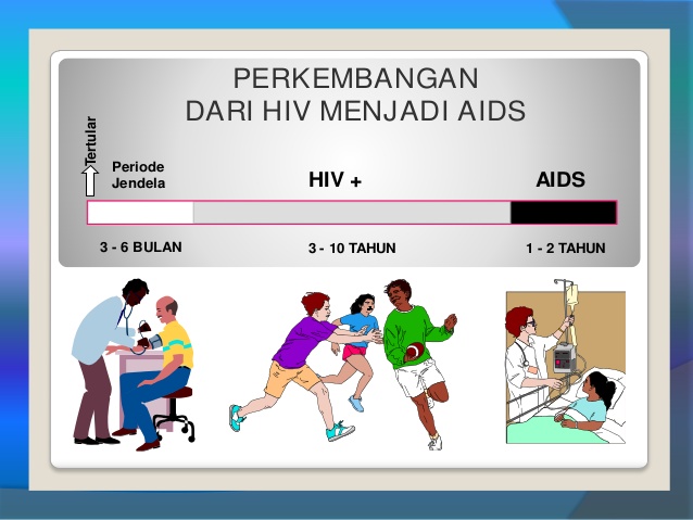Perkembangan HIV menjadi AIDS Perkembangan HIV menjadi AIDS