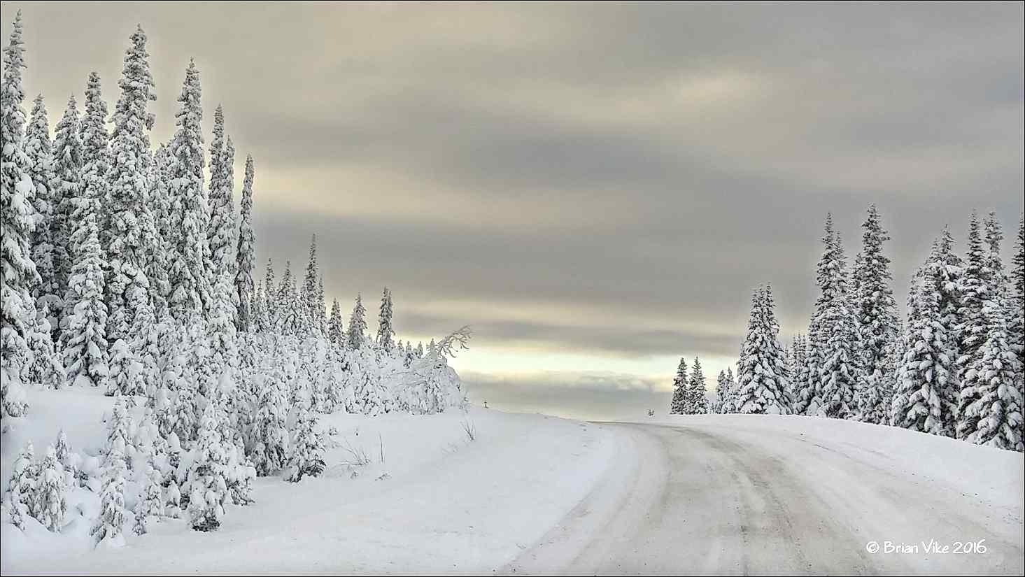 Northern Interior British Columbia: Winter's December 2015 Snowfall 3 ...