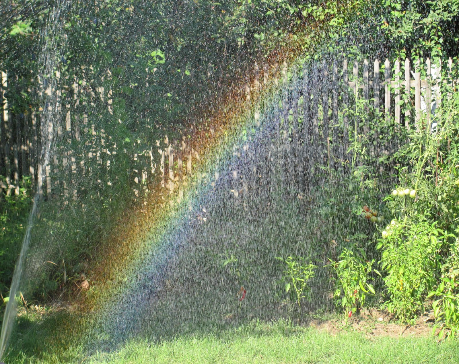 ultimul anotimp...: august 2011