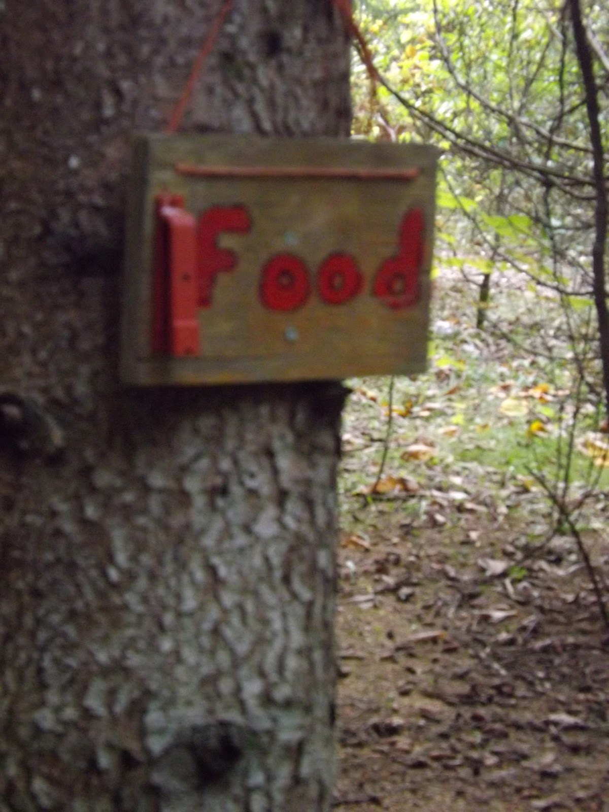 The Middle Aged Woman Who Lived in a Shoe: The Dreaded Frink Centre