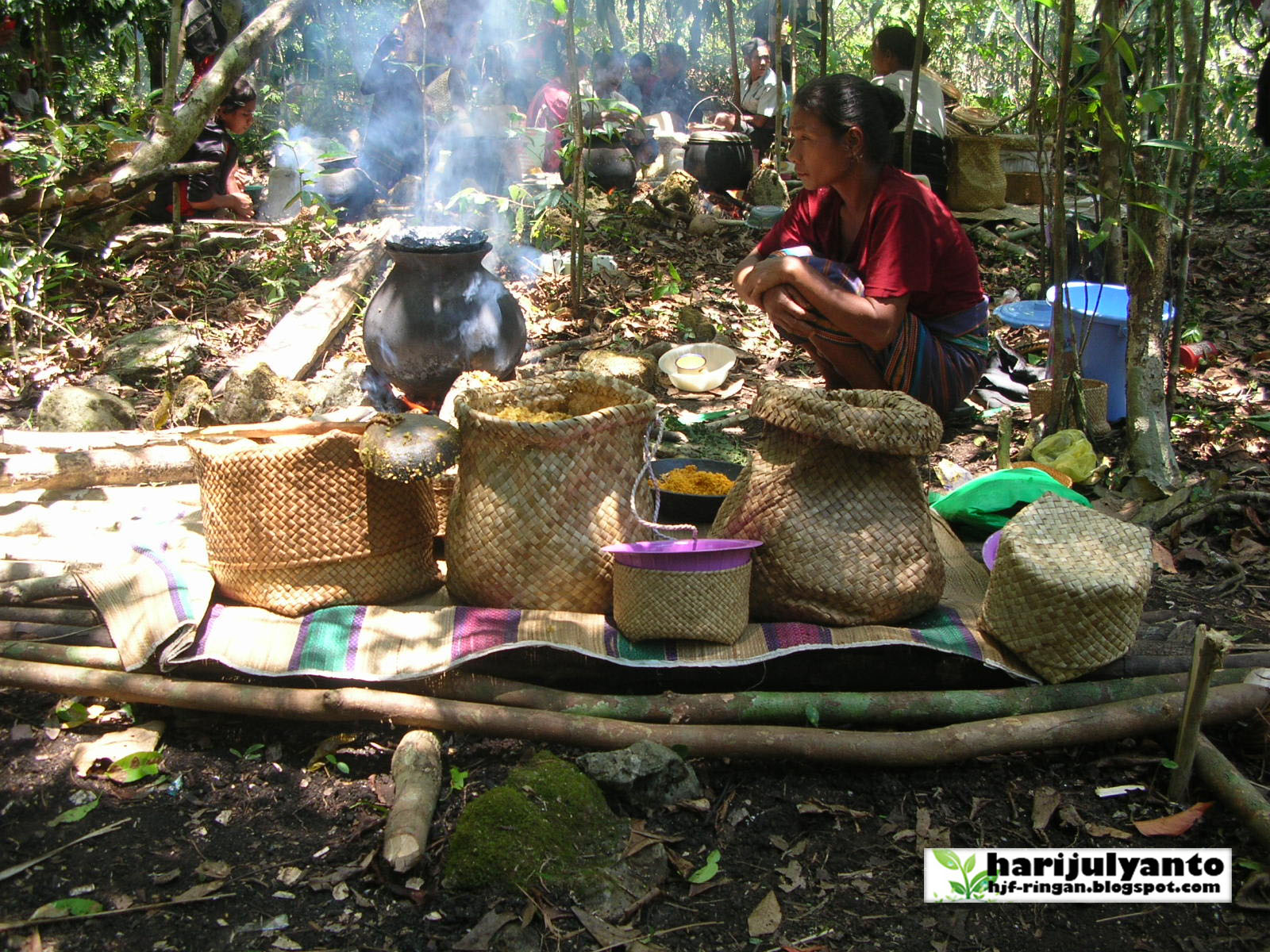 Ringan: Persembahan di Hutan Ritus ( Ritual Purung Taliang Marapu )