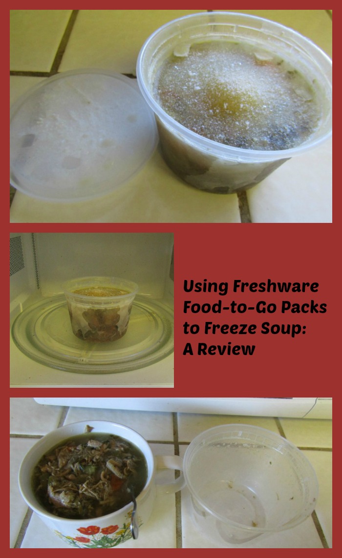 My Experience Using Freshware Food-to-Go Packs to Freeze Soup: A Review