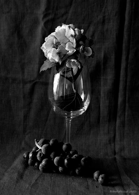 creative photography: Best Photos Of best Creative Photographers