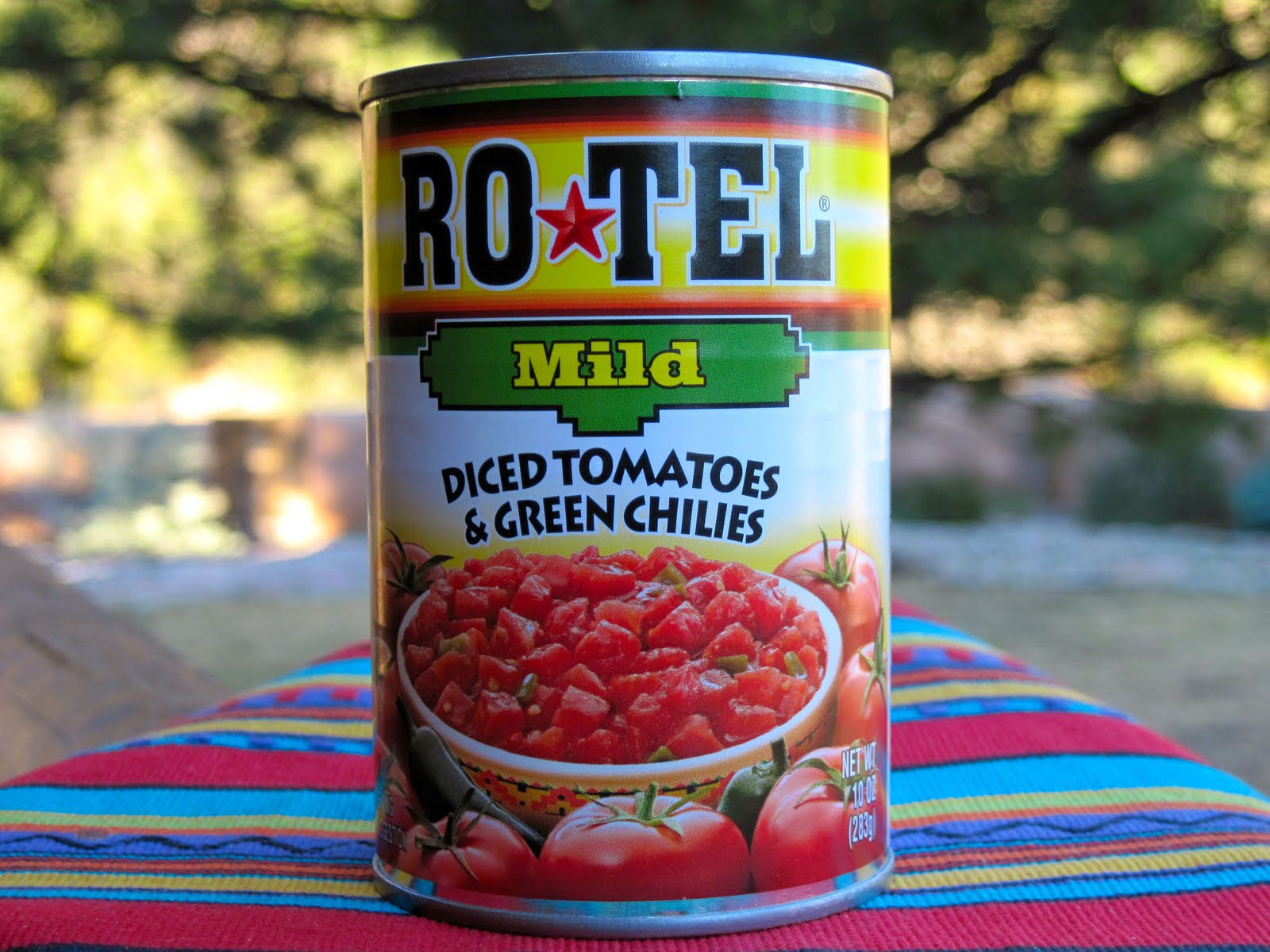 The Nickel and Dime Ranch: Ro-Tel's Famous Queso Dip