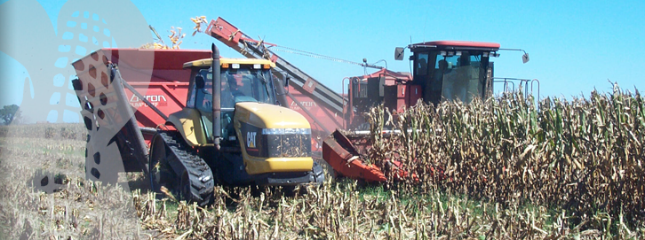 Industrial History: Hybrid Corn Seed