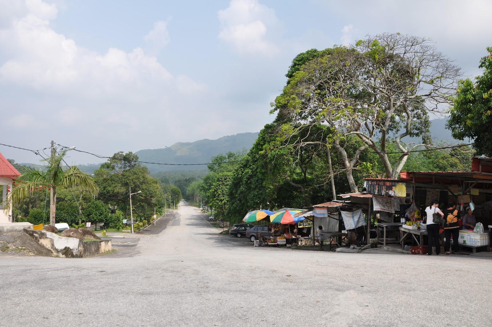 Sungai Siput Boy: Pekan Broga: Gigantic Monkey God at Sak dato Temple ...