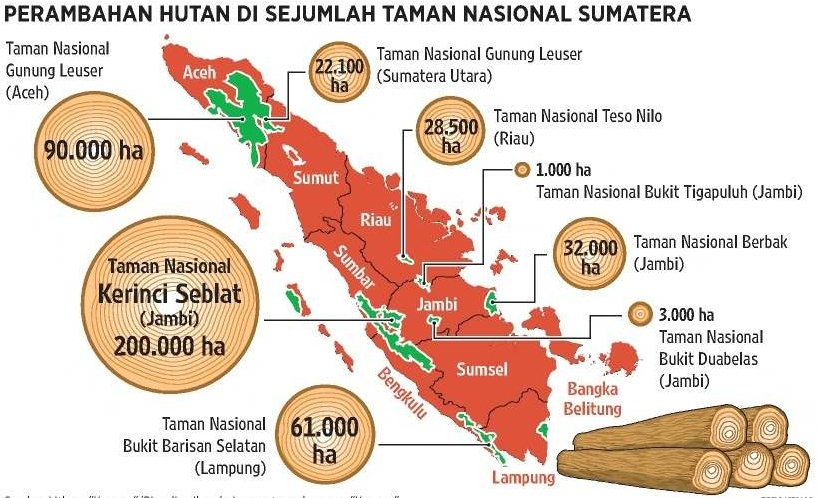 Geografika Nusantara: The State of Sumatra's Forests, As Per Kompas