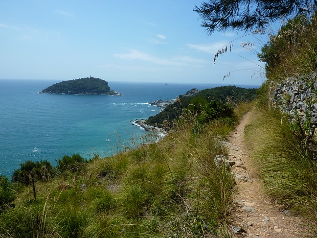 Posidonia: Palmaria: Masterplan e partecipazione