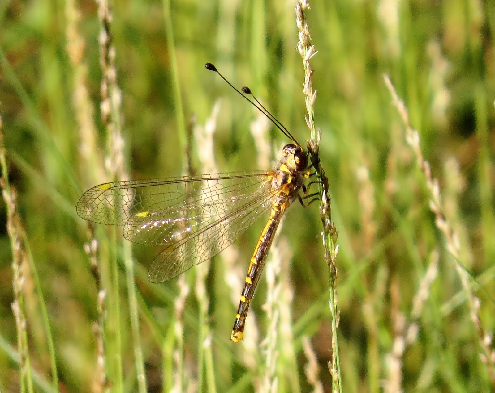 Suburb Guide: Boondall