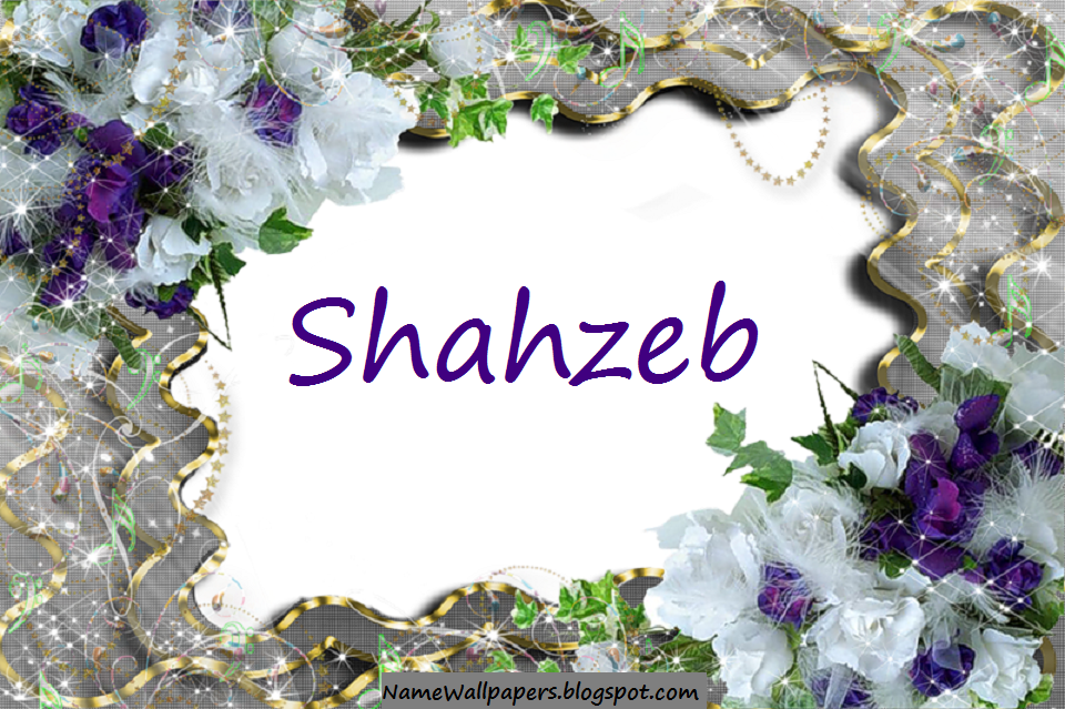 Shahzeb Name Wallpapers Shahzeb ~ Name Wallpaper Urdu Name Meaning Name ...