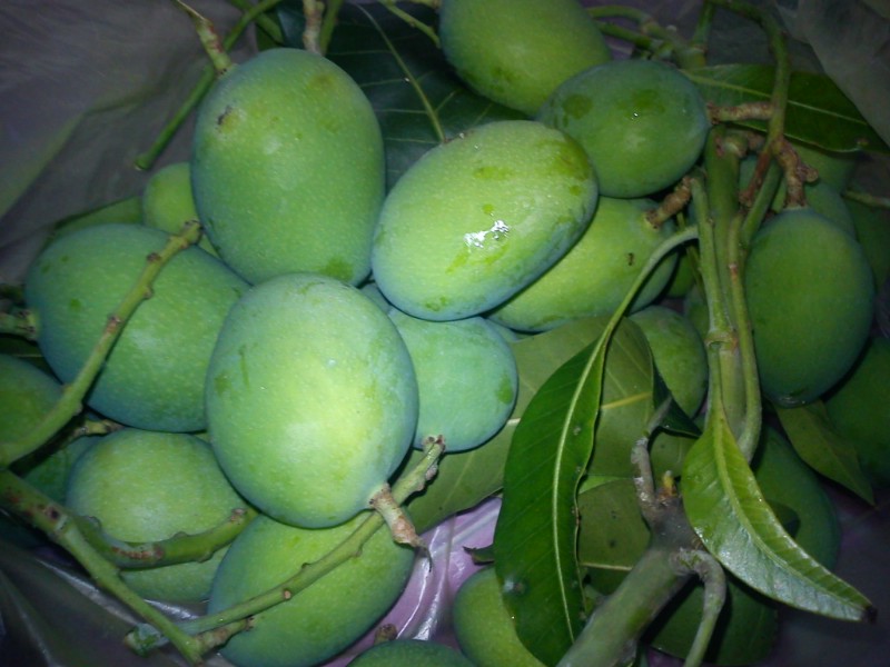 Blog Chik Att: Pelam teloq