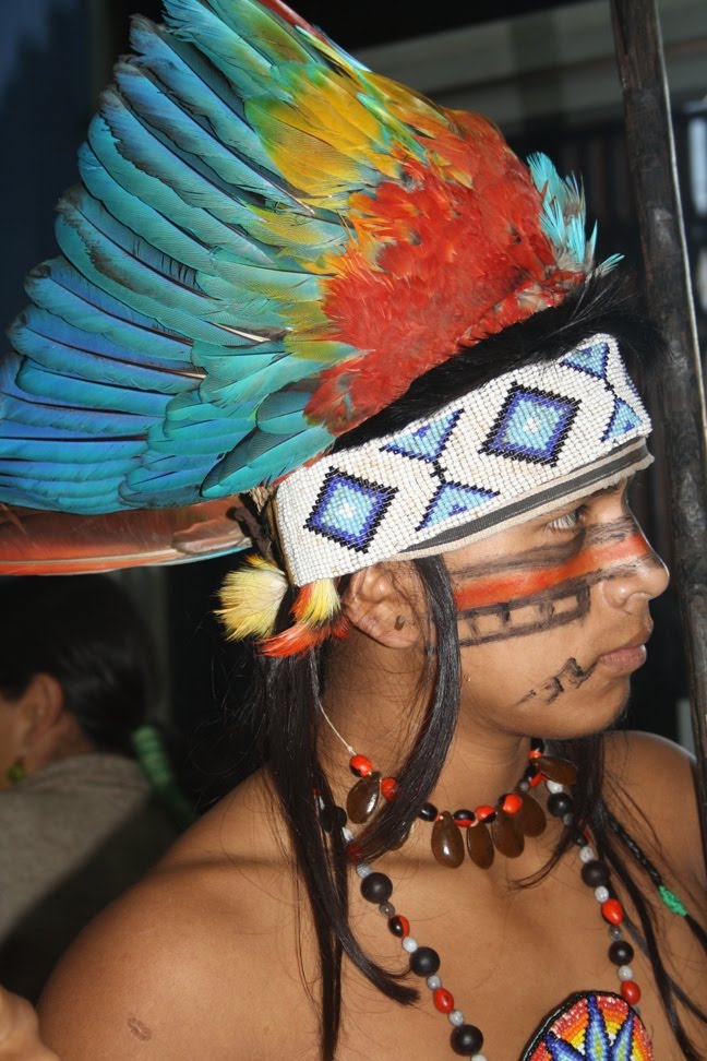 los colores que habitan la tierra