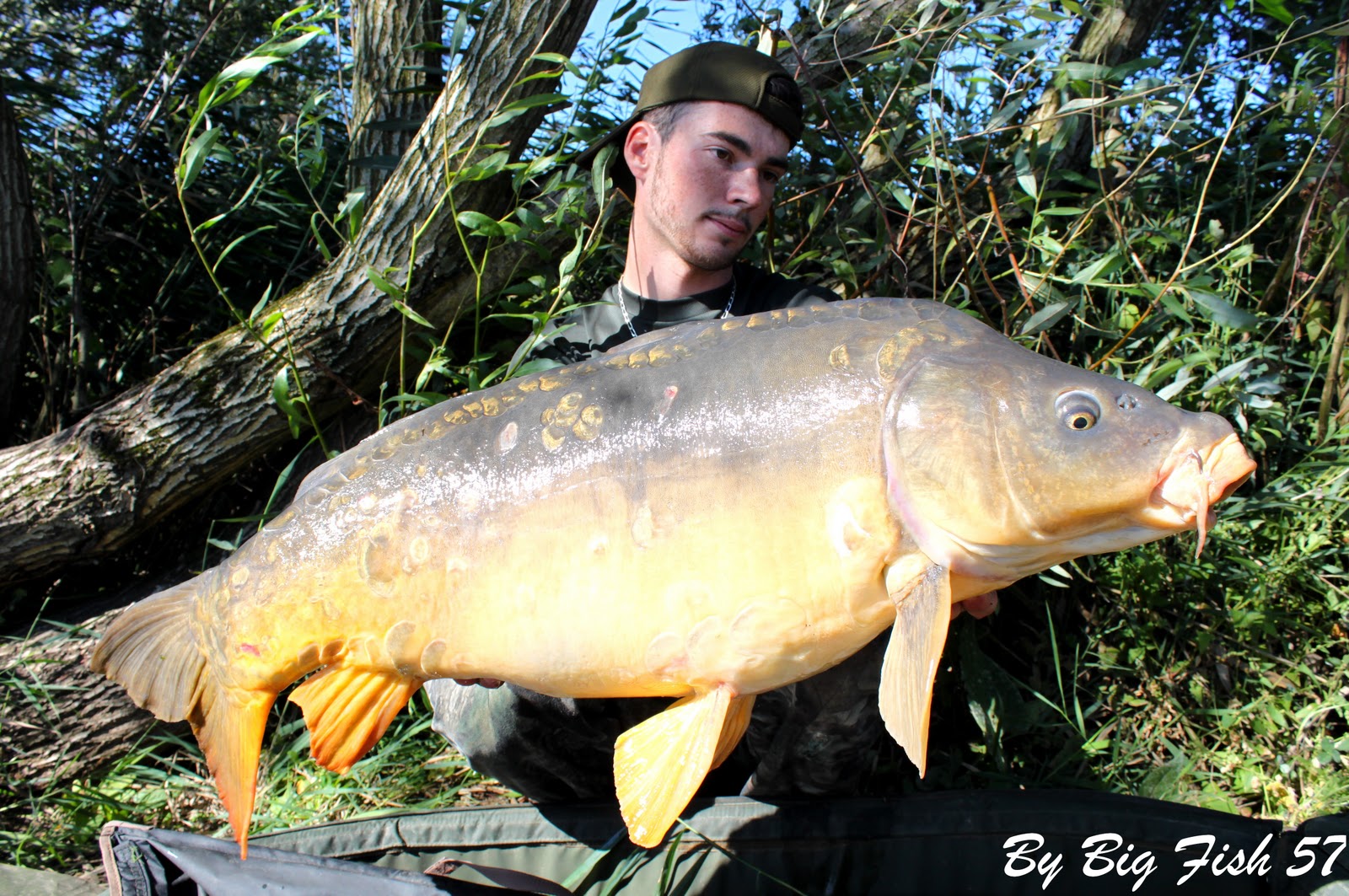 Big Fish 57: Photos Poissons