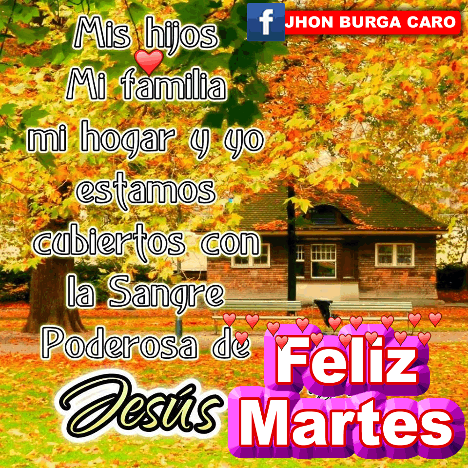 Feliz Martes - Preciosas tarjetas y postales gifs animadas para ...