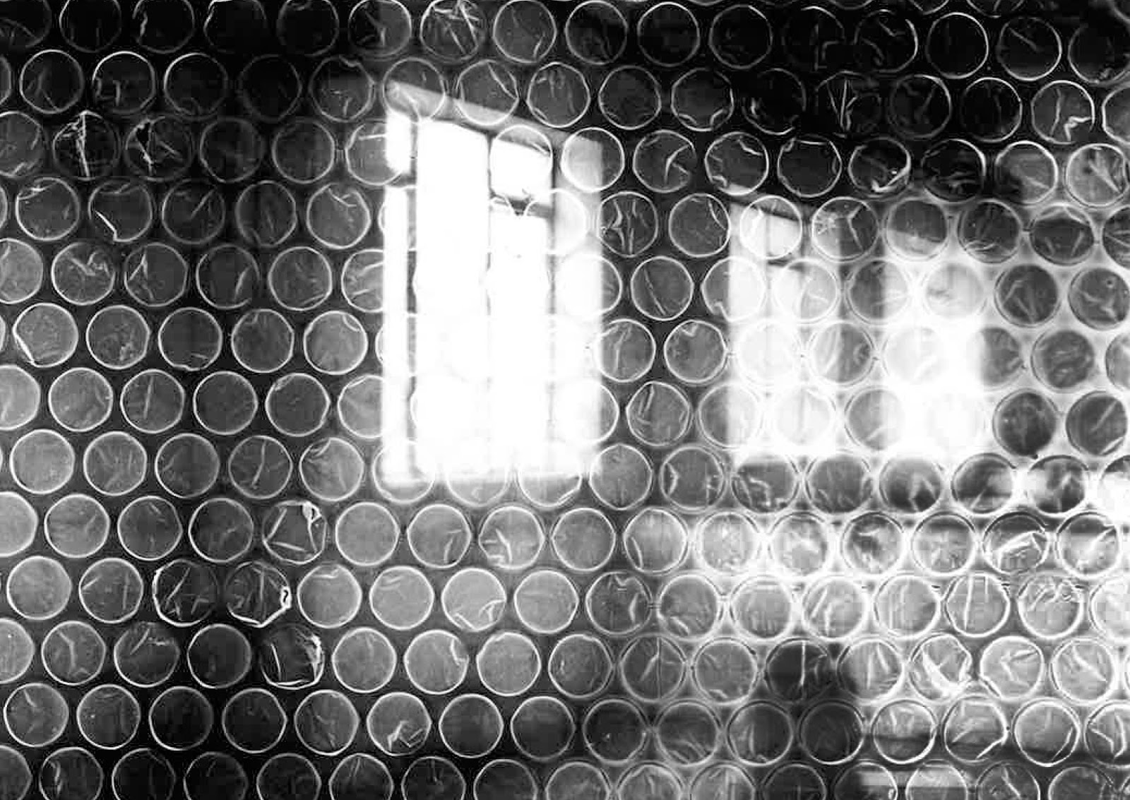 Lauren Carr: Dark Room Experiments.