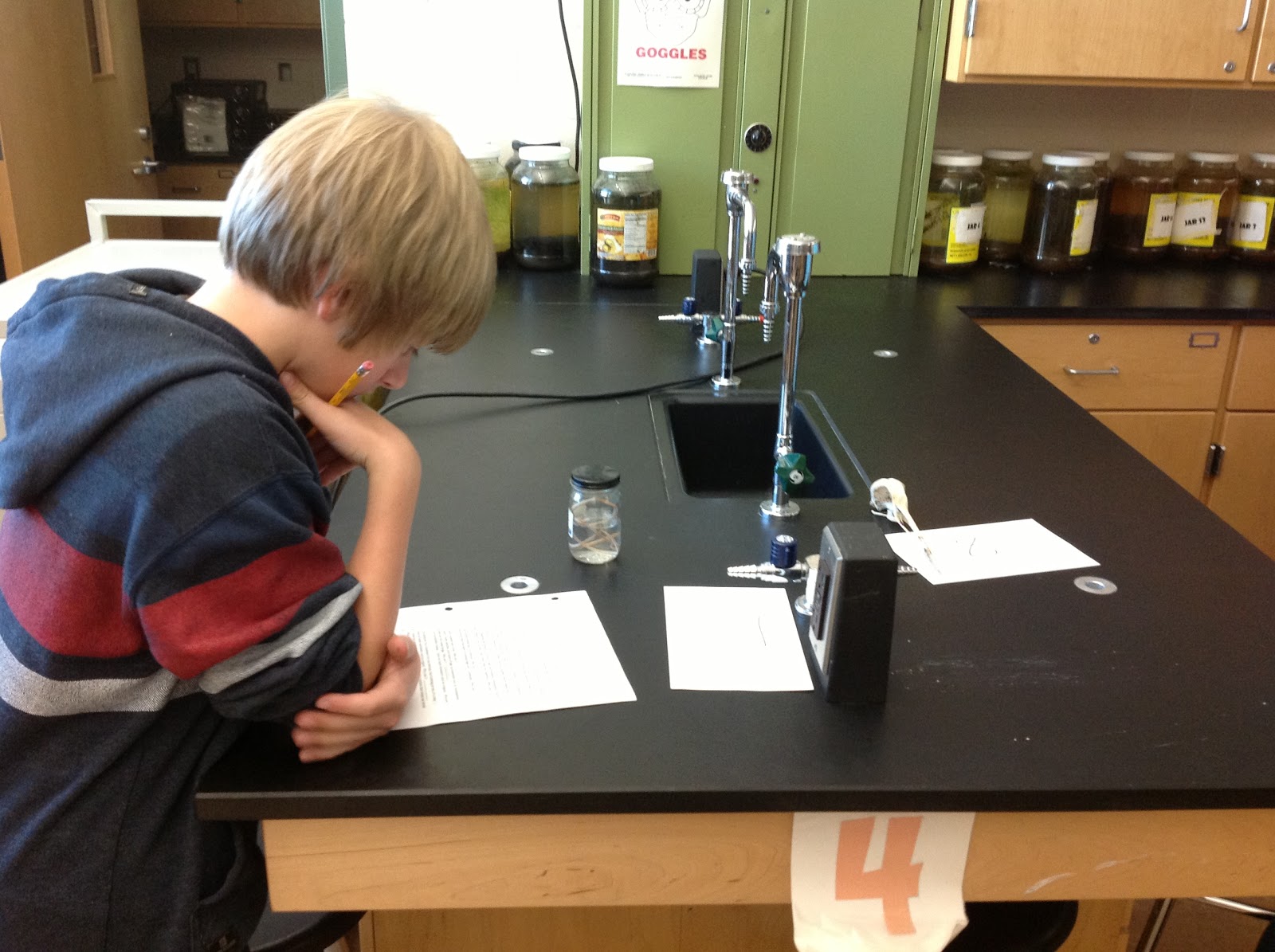 Middle School Science Geek - Mr. King: Classification Lab