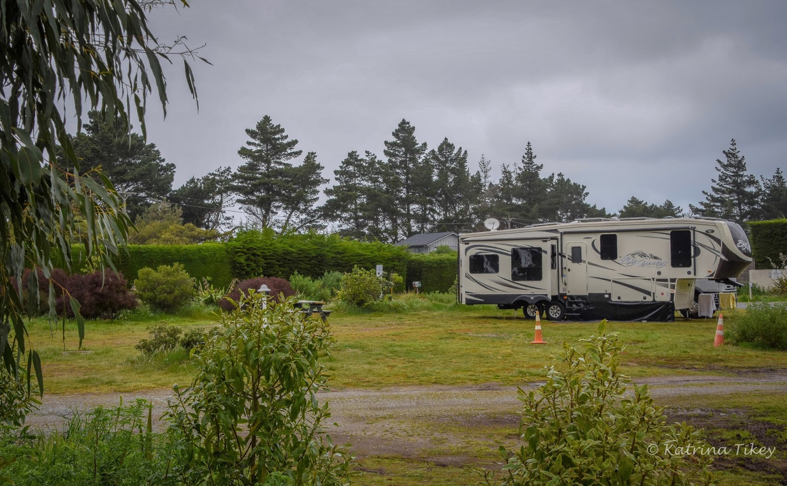 Paws Awhile: Amberley Beach Reserve