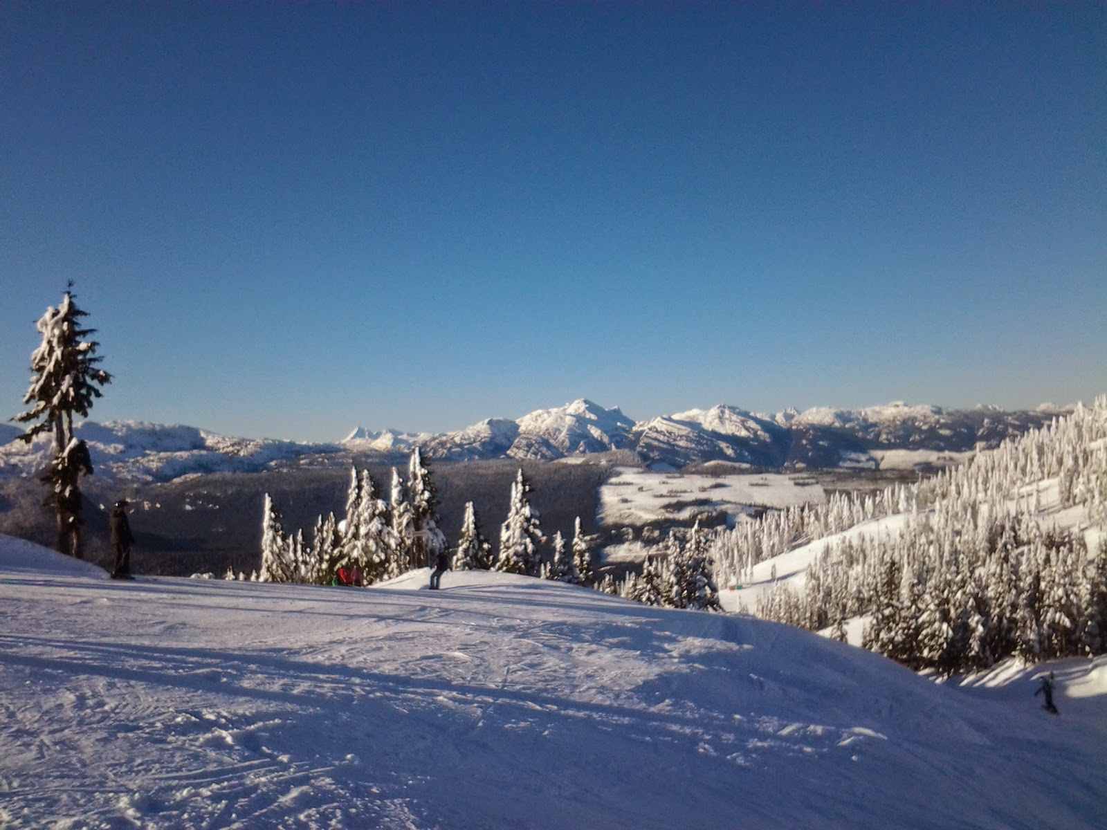 Winding Spiral Case: Mount Washington Alpine Resort, Vancouver Island