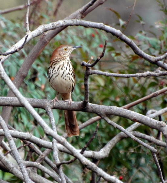 Older but better...?: March 2014