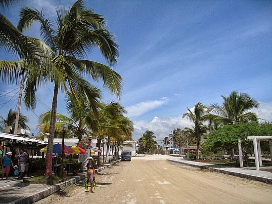 VISITA ISLA ISABELA EN GALAPAGOS: Isla Isabela en Galápagos Ecuador