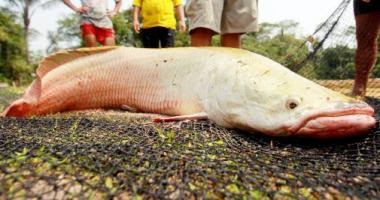 San Martín en la Noticia - Tarapoto - Perú