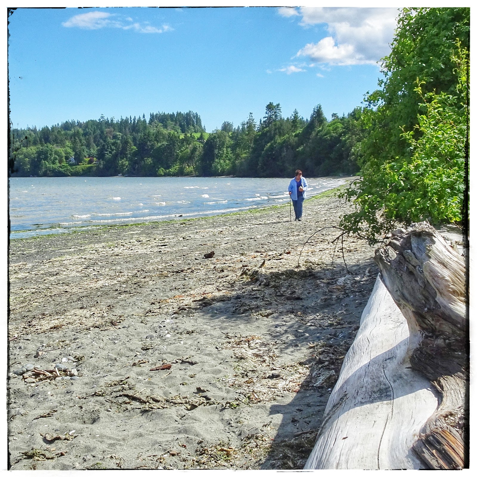 A Postcard from the Beach: Cowichan Valley - Cherry Point Beach